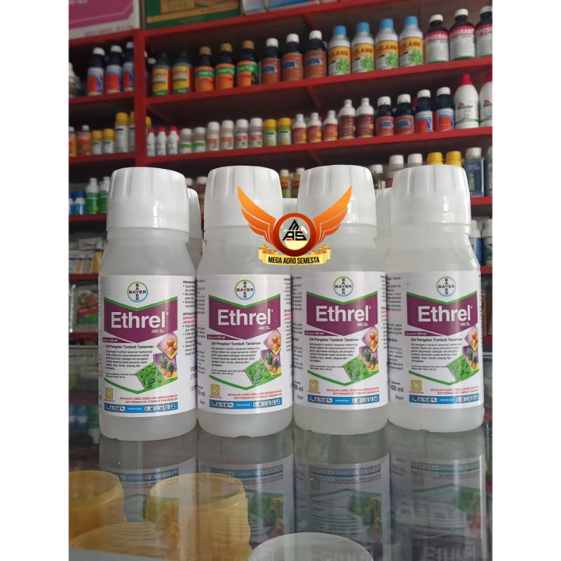 Jual Ethrel 480 SL Zat Pengatur Tumbuh (ZPT) 100 ml pematang buah ...