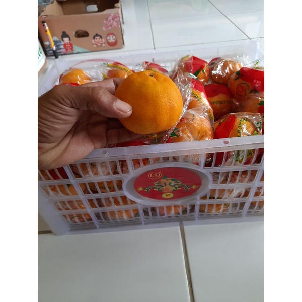 Jual jeruk honey ponkam / dus/keranjang | Shopee Indonesia
