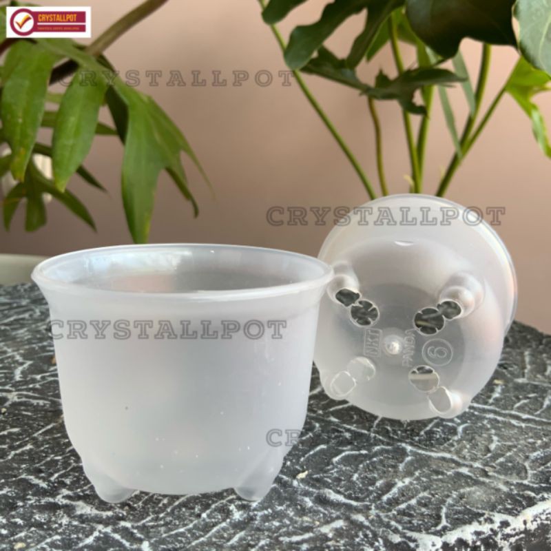 Jual POT BUNGA TANAMAN NKT MINI PANDA 06 BENING TRANSPARAN - NKT PANDA ...