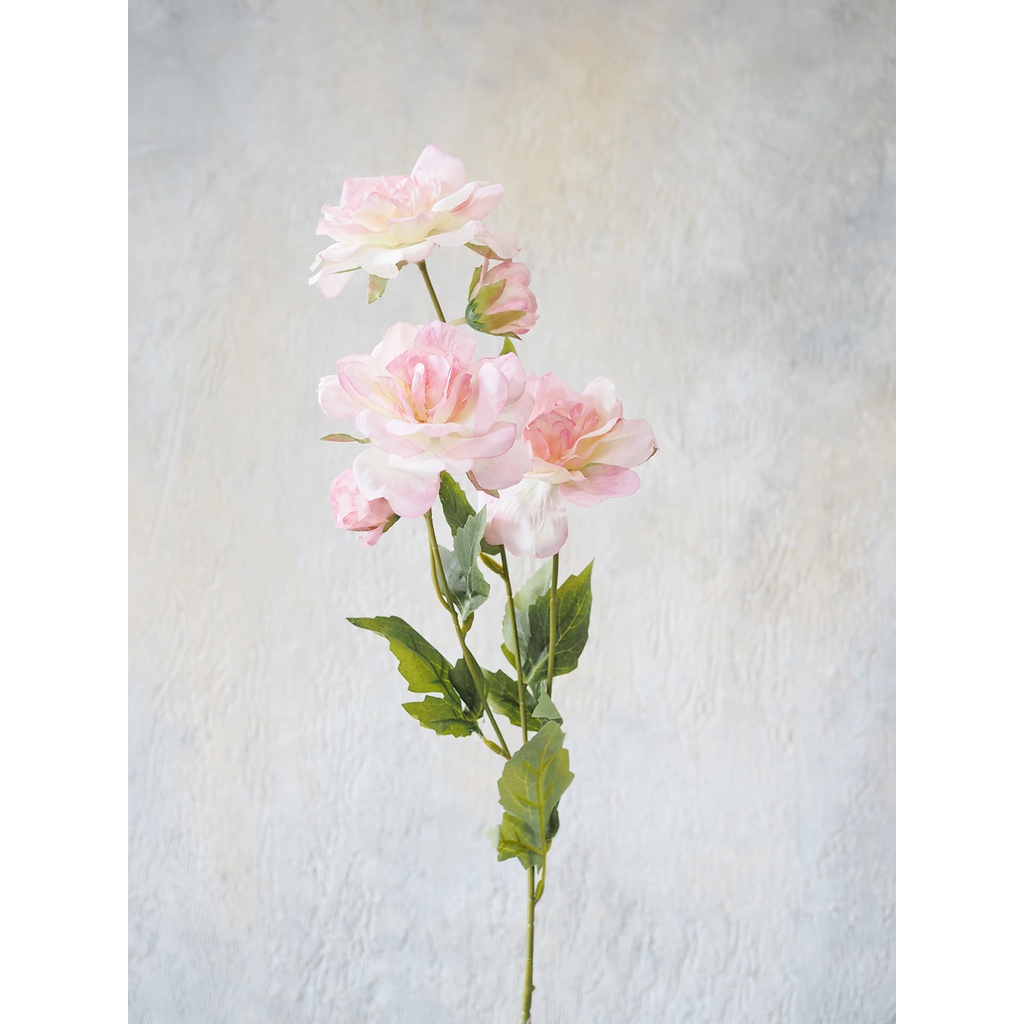 Jual Bunga Artificial Garden Rose Mekar Spray K5 (B22038) | Shopee ...