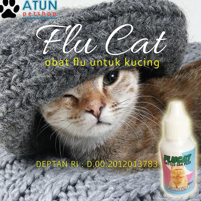 Jual Flucat Obat Flu Demam Dan Pilek Untuk Kucing Kesayangan TERBAIK ...