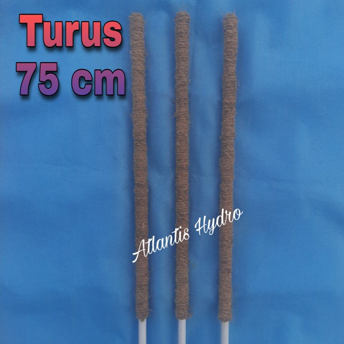 Jual Turus Tanaman Rambatan 75 cm / Tiang Penyangga Tanaman Rambat ...