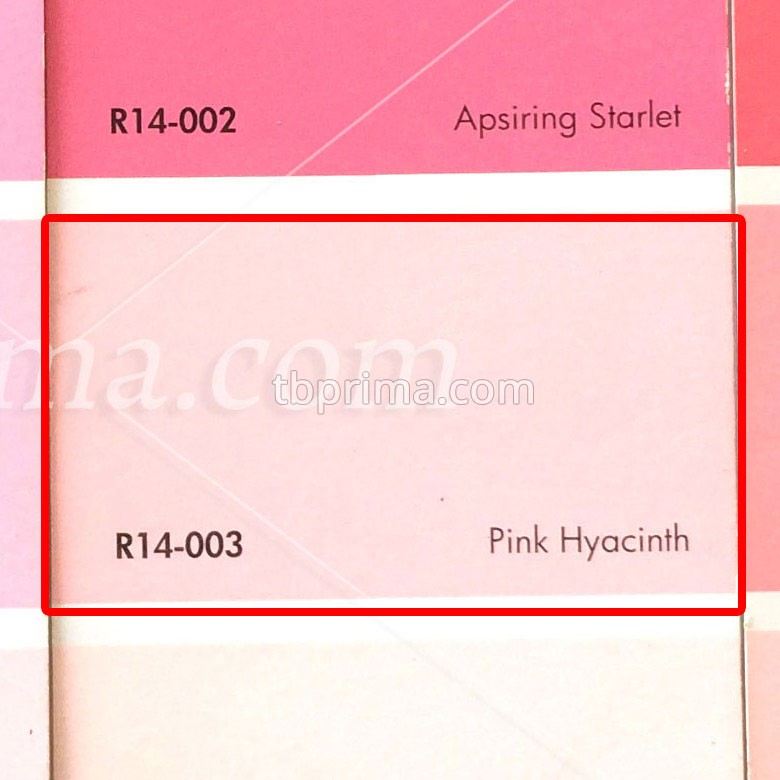 Jual No Drop Tinting R14-003 Pink Hyacinth 1 kg | Shopee Indonesia