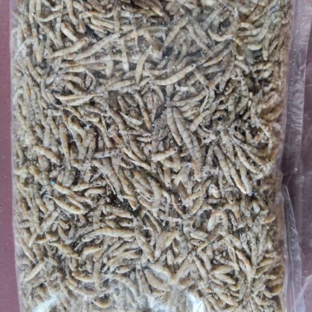 Jual Ikan Duo / Penja Kering - Asli Palu - 1 Kg | Shopee Indonesia
