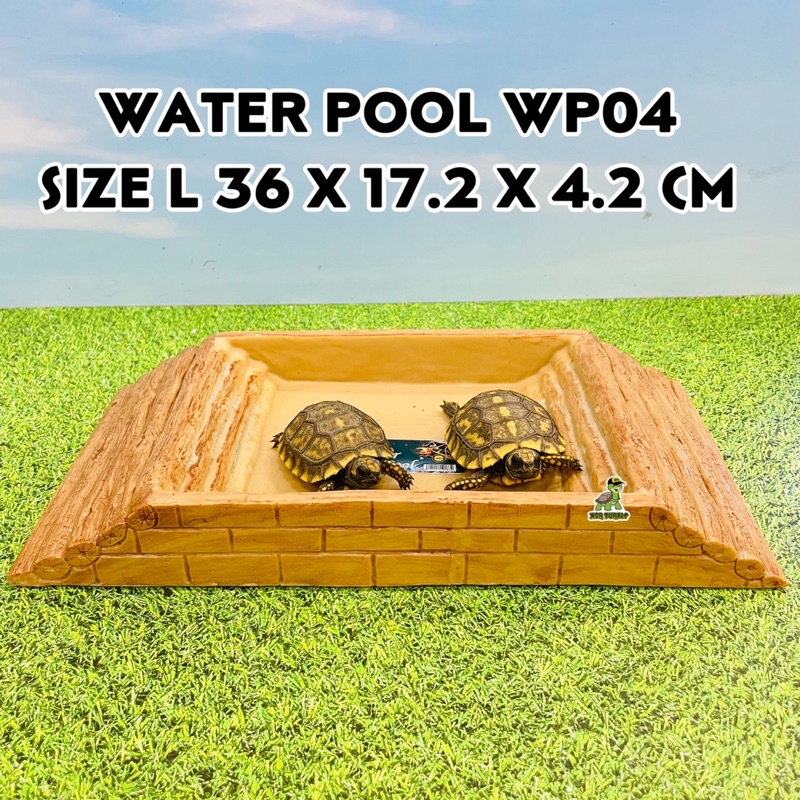 Jual WATER POOL SIZE L KOTAK TEMPAT BERENDAM KURA REPTIL SULCATA ...