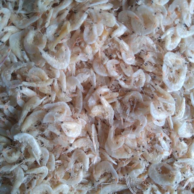 Jual Ikan Asin Rebon Asin 250gr / Udang Tipis Rebon Asin | Shopee Indonesia