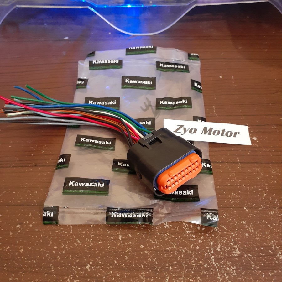 Jual DsMotor - SOKET ECU NINJA 250 ORIGINAL KAWASAKI NINJA 250 | Shopee ...