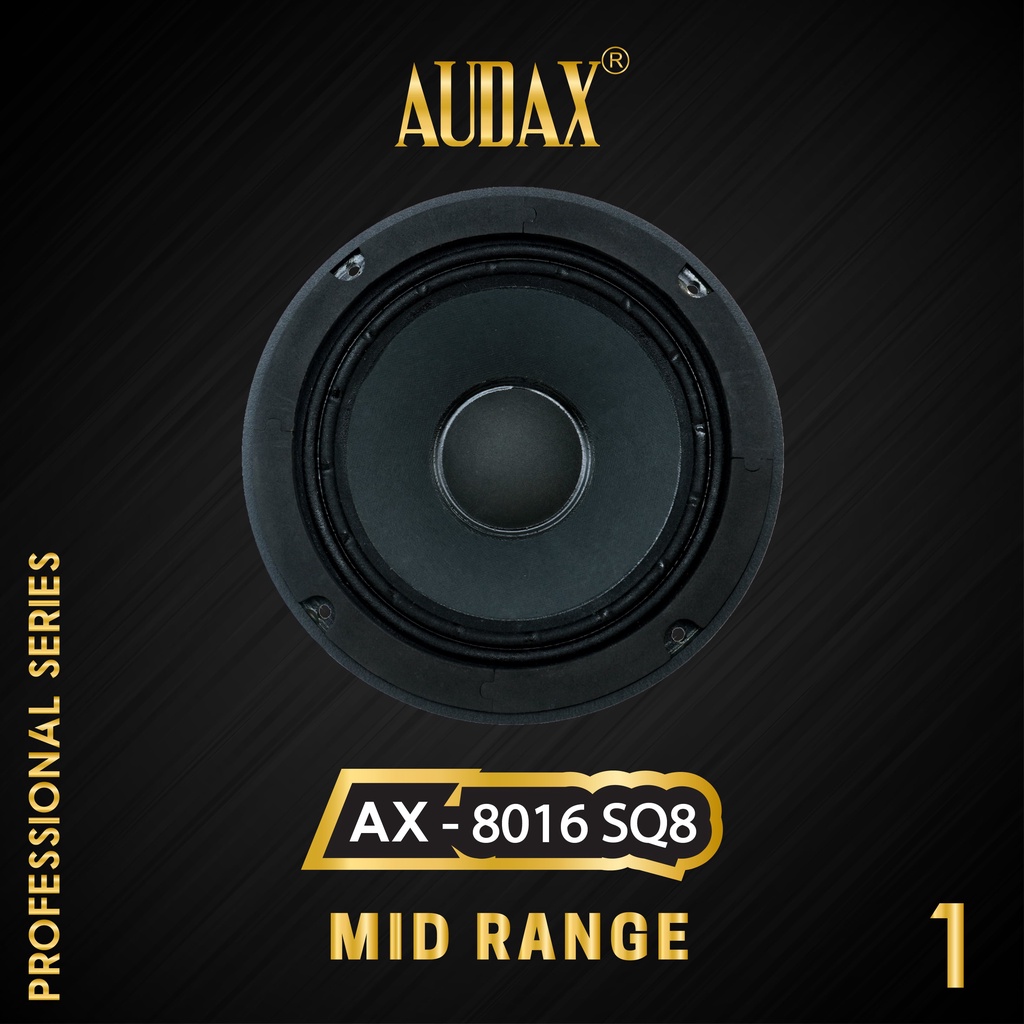 Jual Audax - Speaker Pasif 8" AX-8016 SQ8 Mid Range Professional Series ...