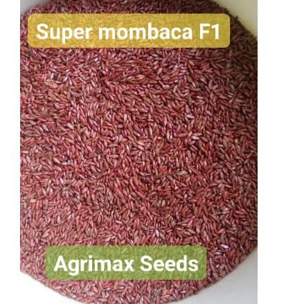 Jual Stock New 200 biji lebih benih super mombaca f1 asli | Shopee ...
