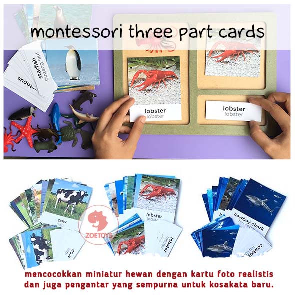 Jual Zoetoys Montessori Three Part Cards Wild Ocean Animal Bug Dinosaur ...