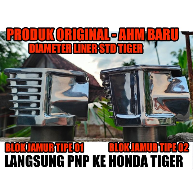 Jual BURENG BLOK TIGER ORIGINAL MODIF JAMUR BAHAN ORIGINAL ASLI AHM ...