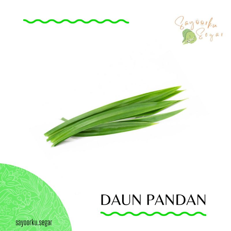 Jual Daun pandan wangi 1 ikat | Shopee Indonesia