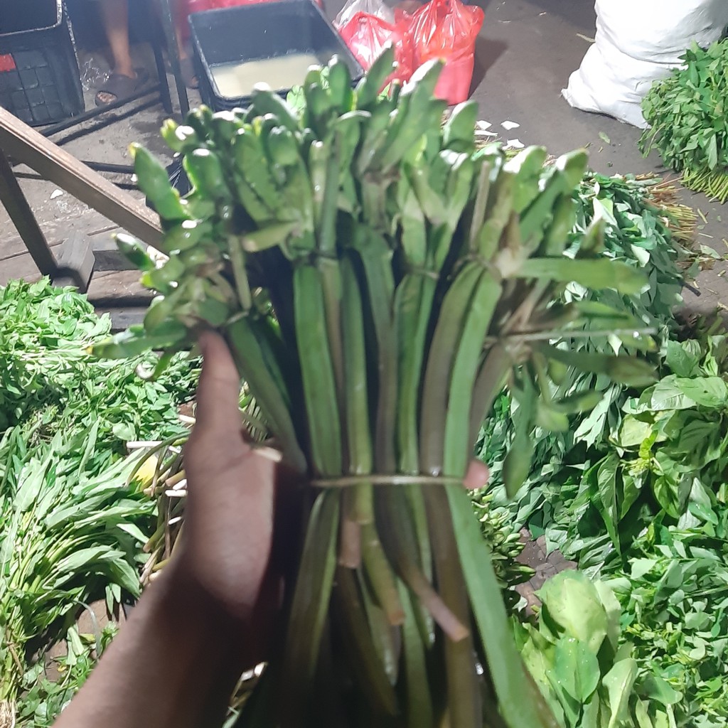 Jual Sayur kembang Genjer 1 iket | Shopee Indonesia