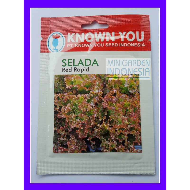 Jual SELADA RED RAPID 5 GRAM PACK KECIL biji Benih Selada merah Known You Seed bibit tanaman ...