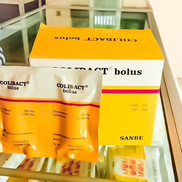 Jual COLIBACT bolus SANBE - Obat Antibakteri Hewan Ternak Berdaya Kerja ...