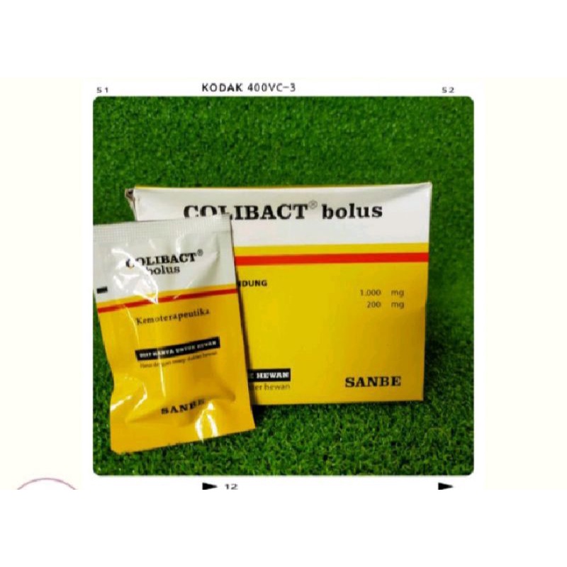 Jual COLIBACT bolus harga untuk 2 Bolus (satu strip) | Shopee Indonesia