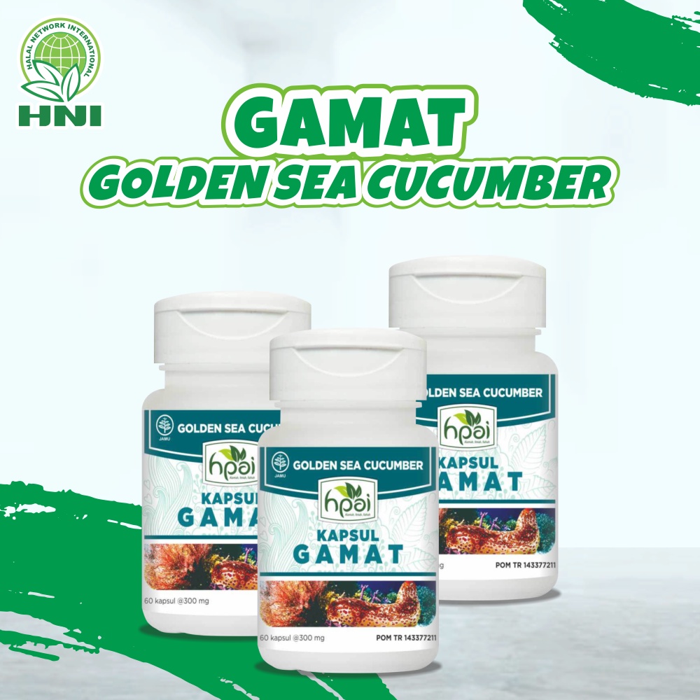 Jual KAPSUL GAMAT HNI HPAI Herbal Luka Luar Dalam Gatal Kulit Alergi ...