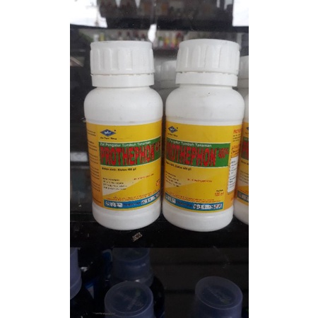 Jual Prothephon 480 sl 100ml | Shopee Indonesia