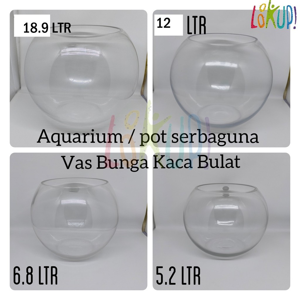 Jual JUMBO AQUARIUM BULAT/FISH BOWL /FISH BALL/Pot Tanaman Air ...