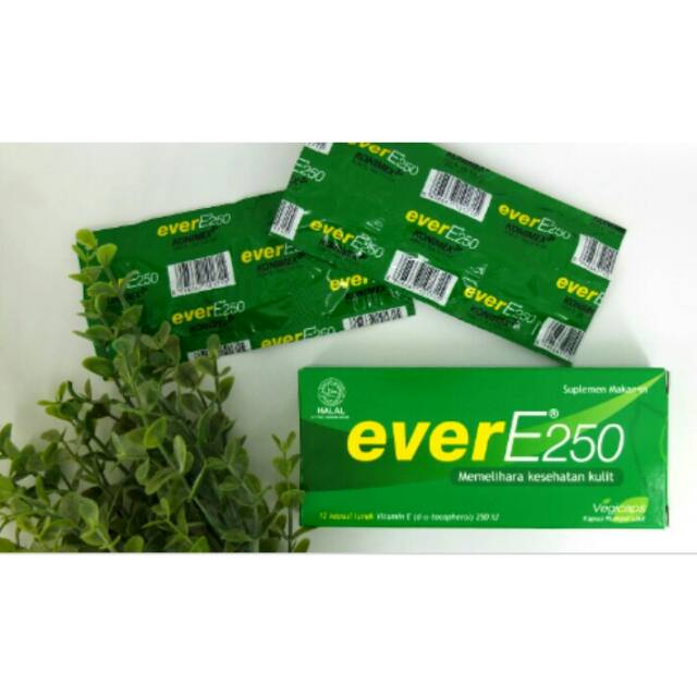 Jual EVER E isi 12's | Shopee Indonesia