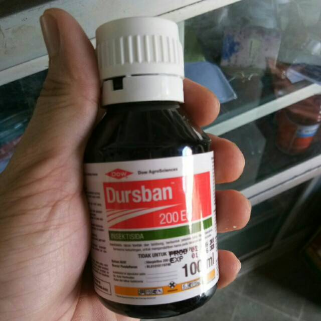 Jual Insektisida Dursban 200ec 100ml | Shopee Indonesia