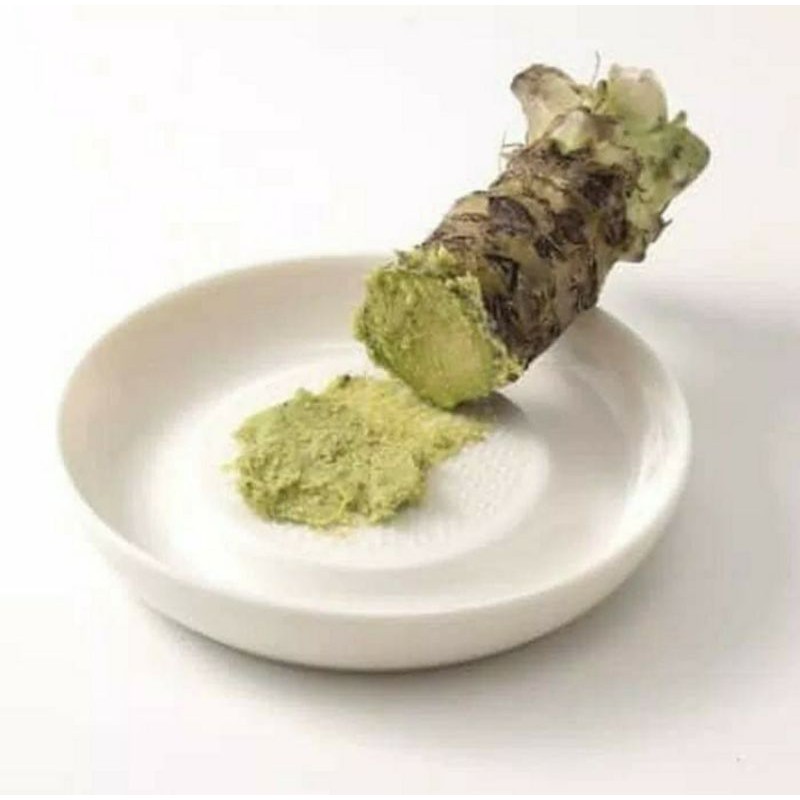 Jual Japan Quality Wasabi Ginger Grater Dish Kitchen Tool Mangkok ...