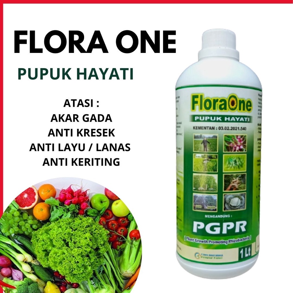 Jual FLORA ONE PUPUK HAYATI Pupuk PGPR Agar Cepat Tumbuh, Rhizobium Sp ...
