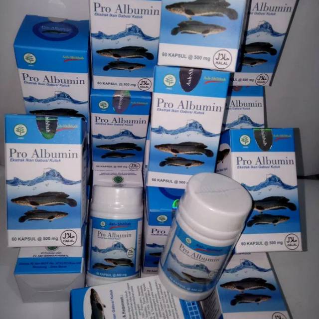 Jual Pro Albumin Original 60 kapsul | Shopee Indonesia