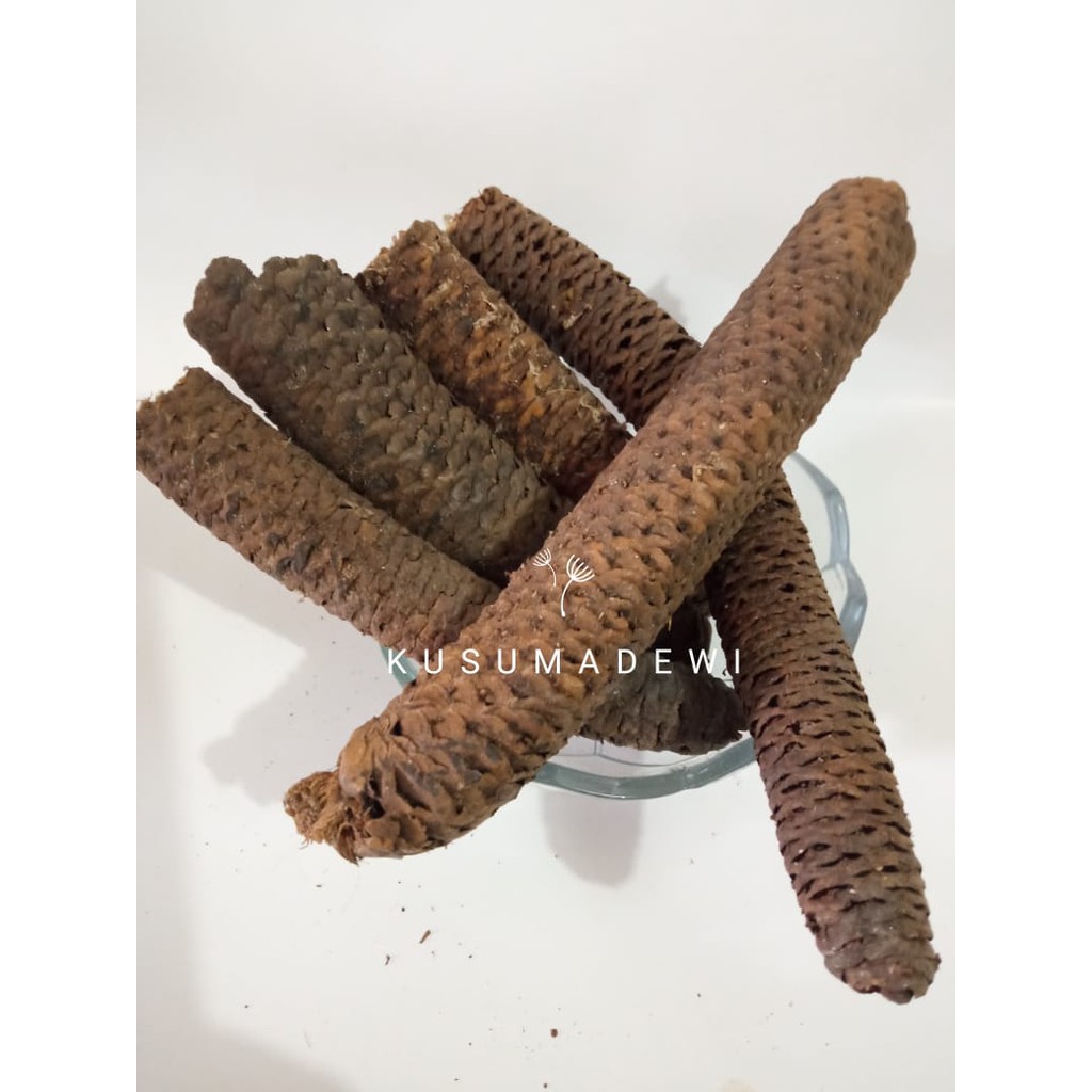 Jual Kayu Wolo / Kayu Lanang / Oroxylum indicum 1kg | Shopee Indonesia