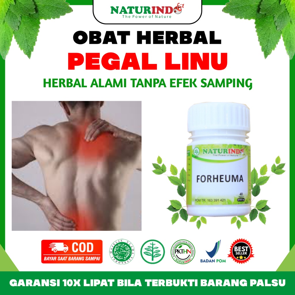 Jual OBAT PEGAL LINU NYERI SENDI SAKIT BADAN NYERI OTOT KAKU ENCOK ...