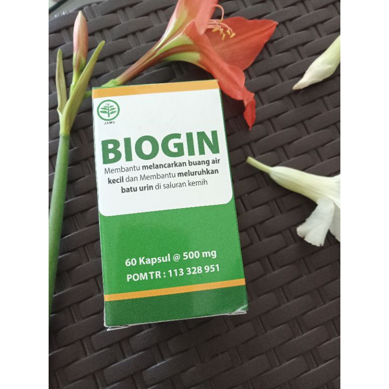 Jual Kapsul BIOGIN herbal batu ginjal isi 60kapsul / Obat Herbal Batu ...