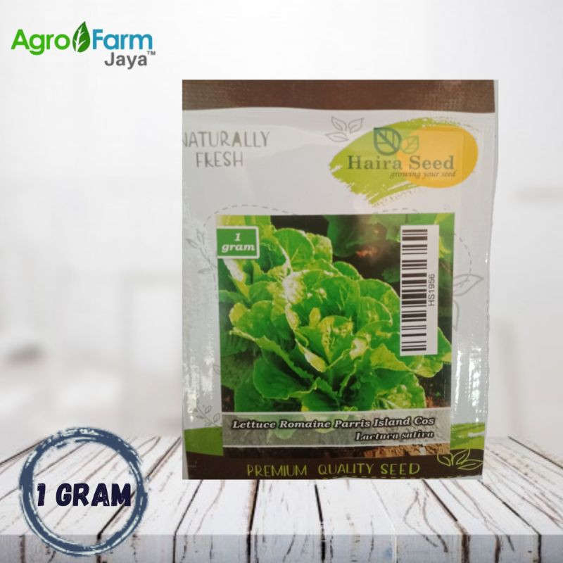 Jual Bibit Selada Green Romaine Parris Island Cos ( Haira Seed ) | Shopee Indonesia