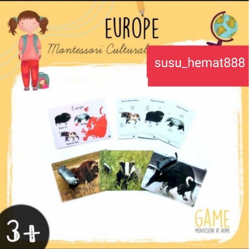 Jual montessori cultural around the world animal set | Shopee Indonesia
