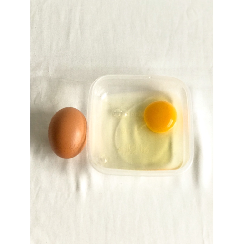 Jual Telur Ayam Negeri Fresh High Quality (harga per kilo) | Shopee ...