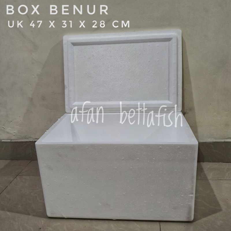 Jual Styrofoam Box Benur Ukuran 47 x 31 x 28 cm / Sterofoam Ikan / Fish ...