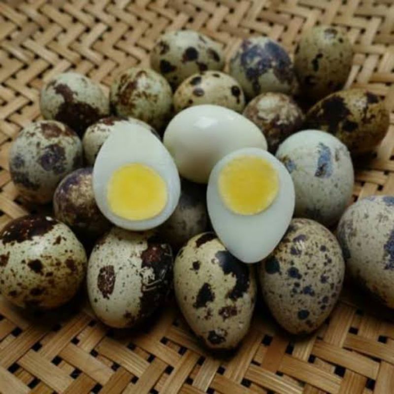 Jual Telur Puyuh Matang 250g | Shopee Indonesia
