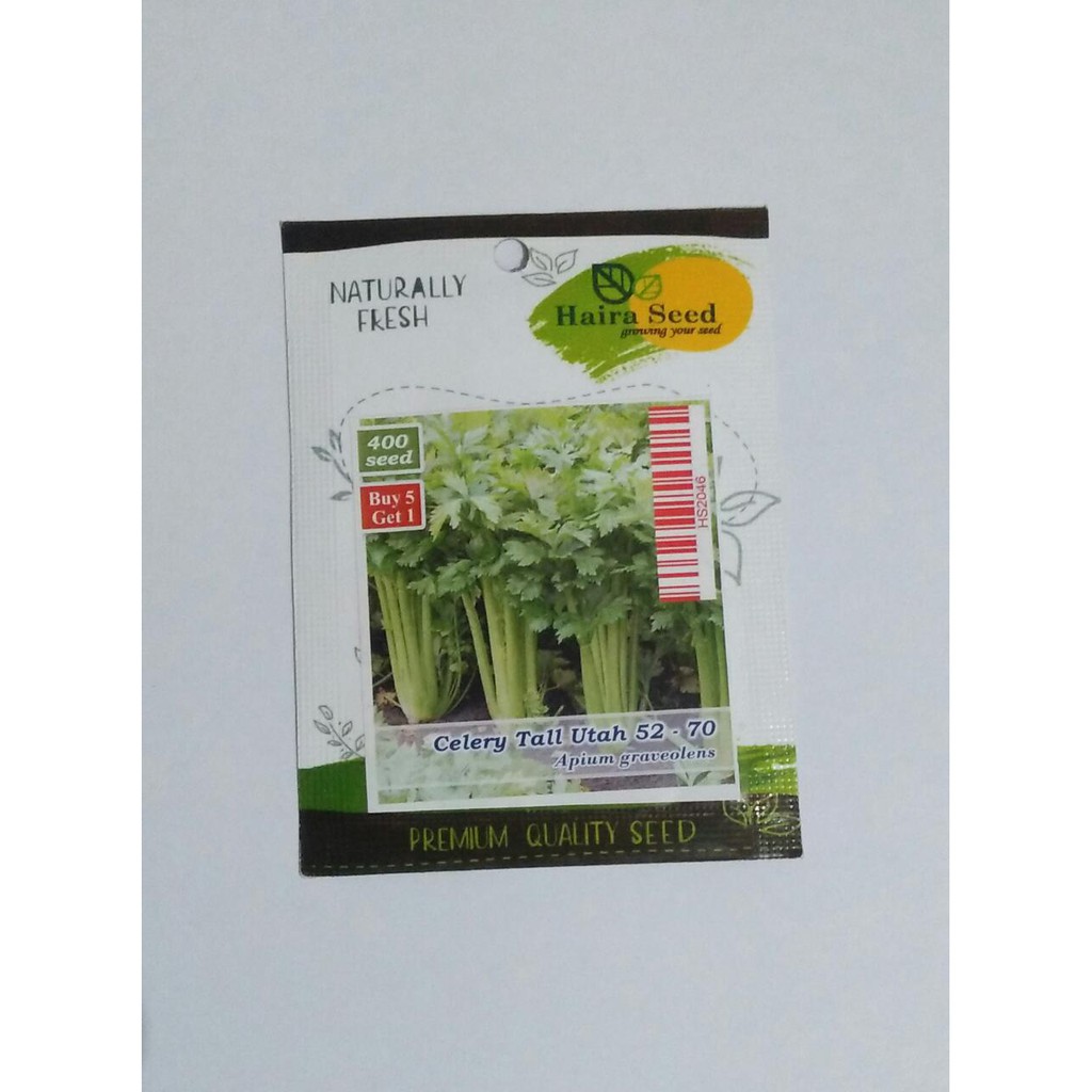 Jual Benih Seledri Batang Besar Tall Utah 52-70 | Shopee Indonesia