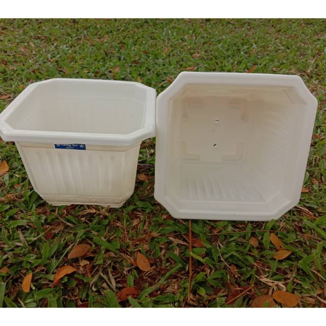 Jual Pot bunga dan tanaman segi empat 20cm (5334) | Shopee Indonesia