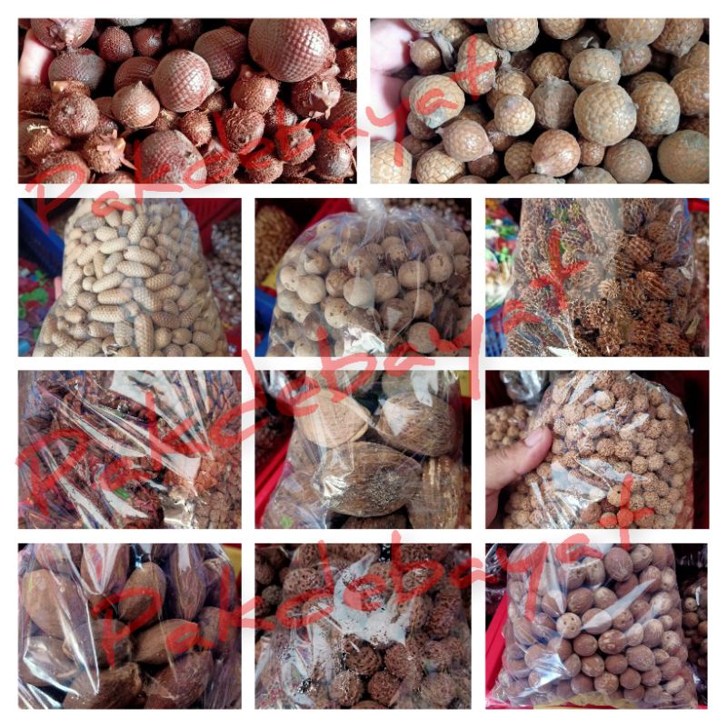 Jual Biji Rotan, Bunga Pinus, Biji Cemara, Jinitri (Biji-Bijian kiloan ...