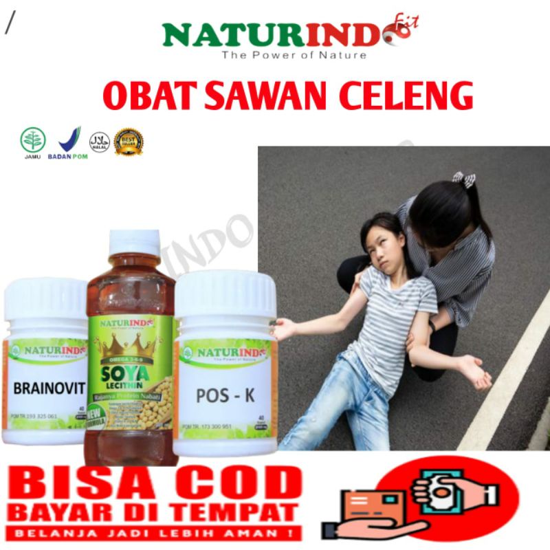 Jual Brainofit Obat Epilepsi Nutrisi Otak Vitamin E Obat Kejang Ayan ...