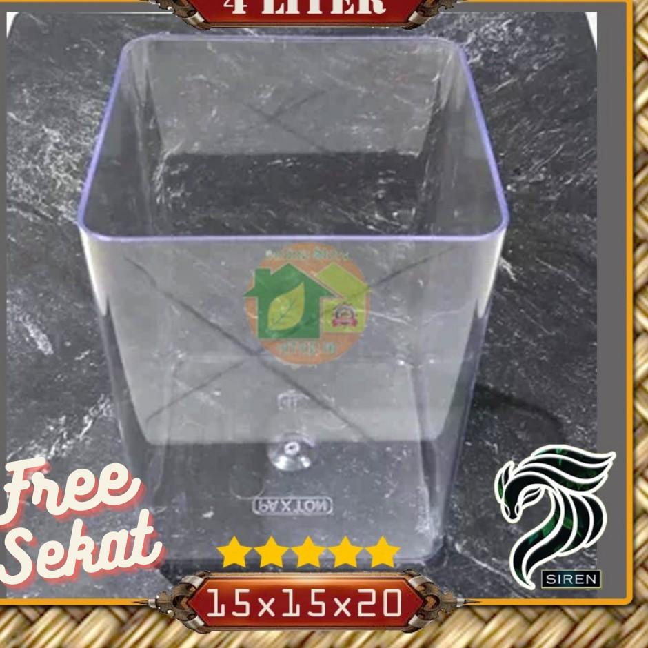 Jual Import Terbaik Toples Cupang Soliter Akrilik 4 Liter Kotak PAXTON ...