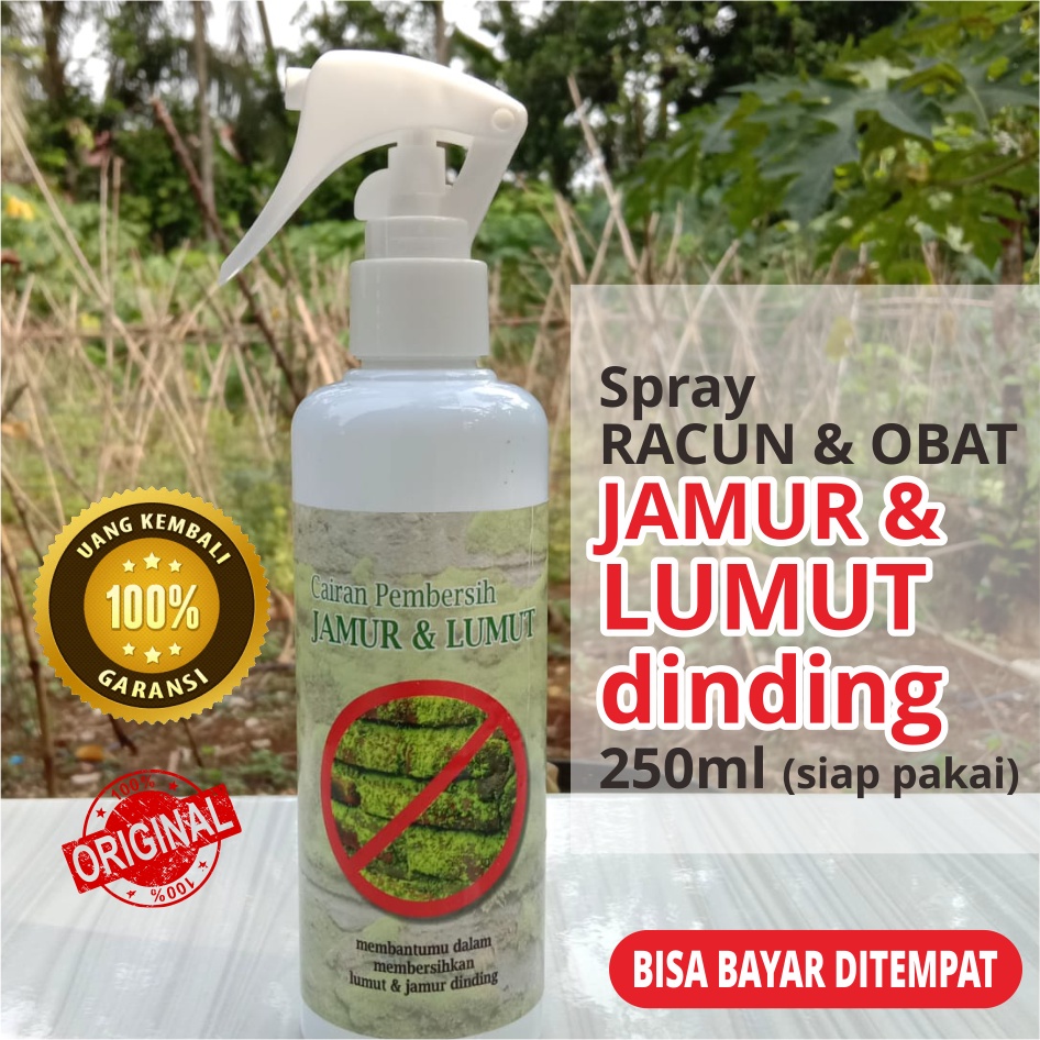 Jual Spray PEMBERSIH LUMUT & JAMUR DINDING 250ml | Shopee Indonesia