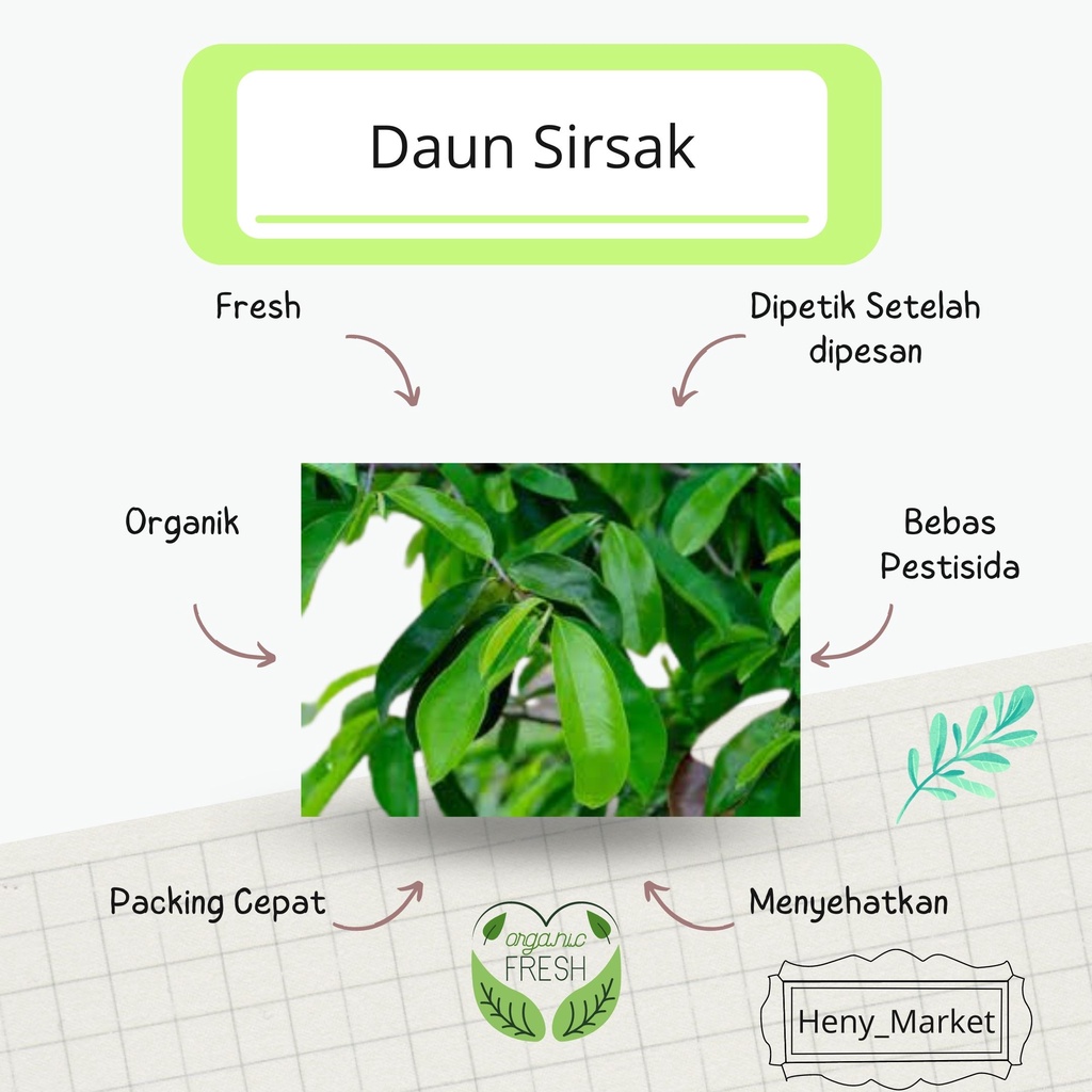 Jual Daun Sirsak Sirsat Segar | Shopee Indonesia