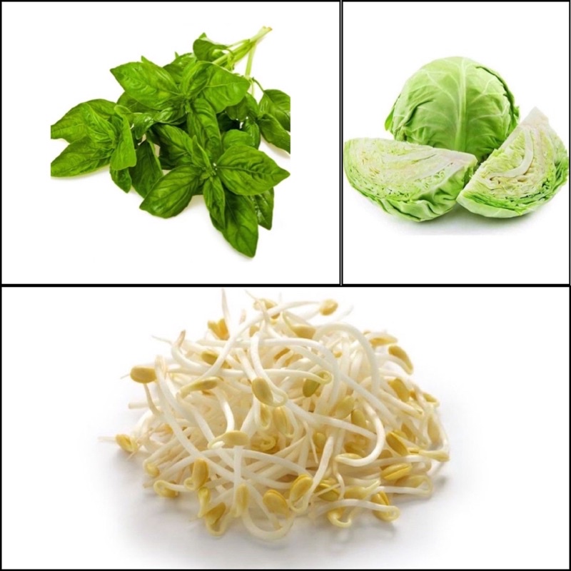 Jual Sayuran Kol Putih , Toge , Kemangi | Shopee Indonesia