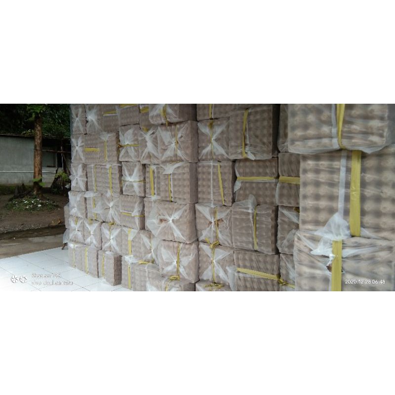 Jual EGGTRAY TELUR / TRAY TELUR / TEMPAT TELUR KARTON BARU | Shopee ...