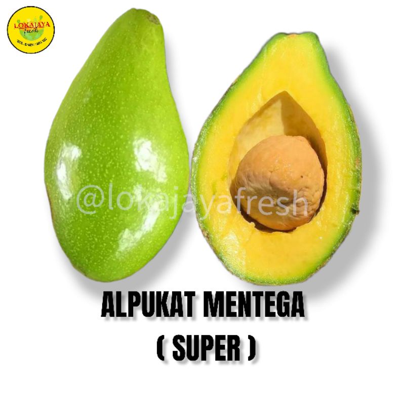 Jual Alpukat Mentega Besar 1 Kg | Shopee Indonesia