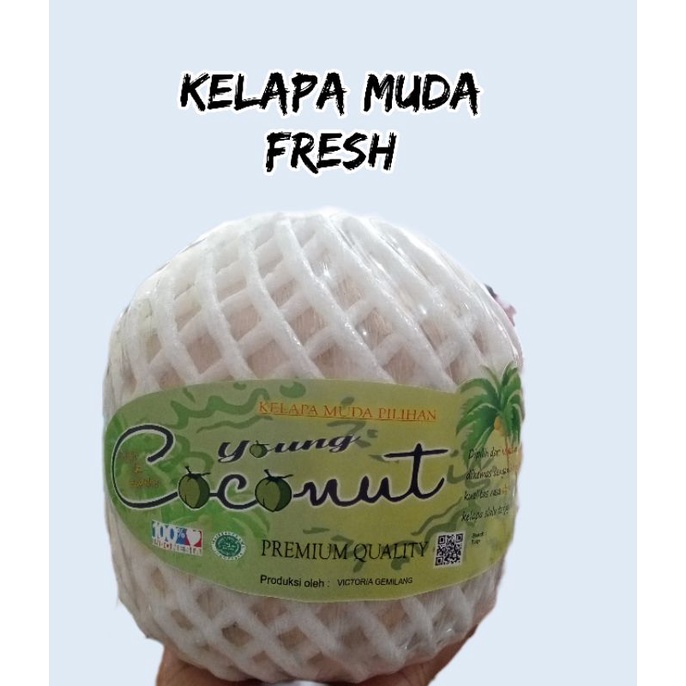 Jual VIRALL!!! Kelapa muda diamond segarfresh | Shopee Indonesia