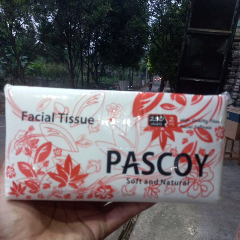 Jual Tissue pascoy 250 sheet | Shopee Indonesia