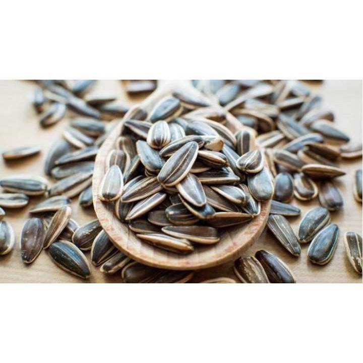 Jual Biji Bunga Matahari kemasan 500 gram | Shopee Indonesia