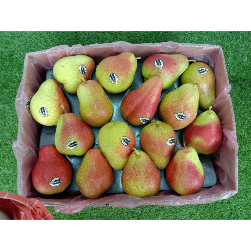Jual pear forelle / pir forelle / pir manis 1kg | Shopee Indonesia